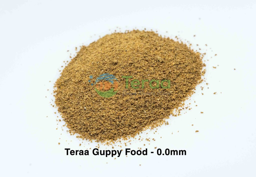 Teraa Guppy Fish Food - Teraa